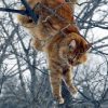How to Get Your Cat Down Out of a Tree | Kittens Whiskers