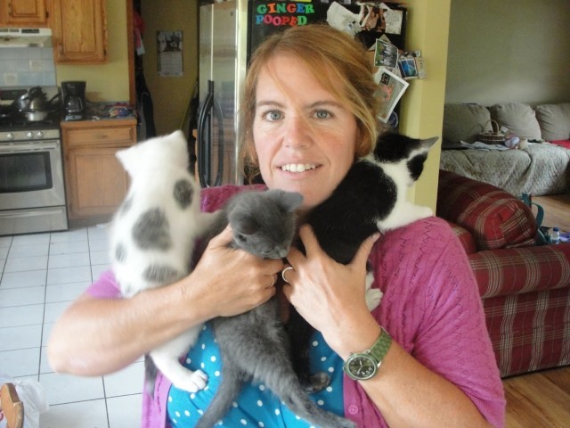 Free To Good Home? Read This First! | Kittens Whiskers