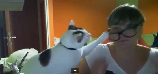 Pet Me Now!